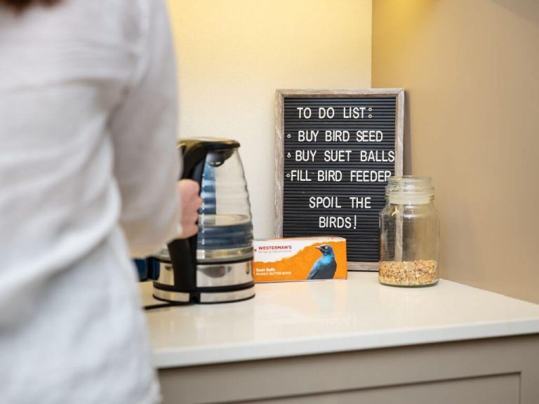 How To Start Your Beginner Birding Journey | Birding 101